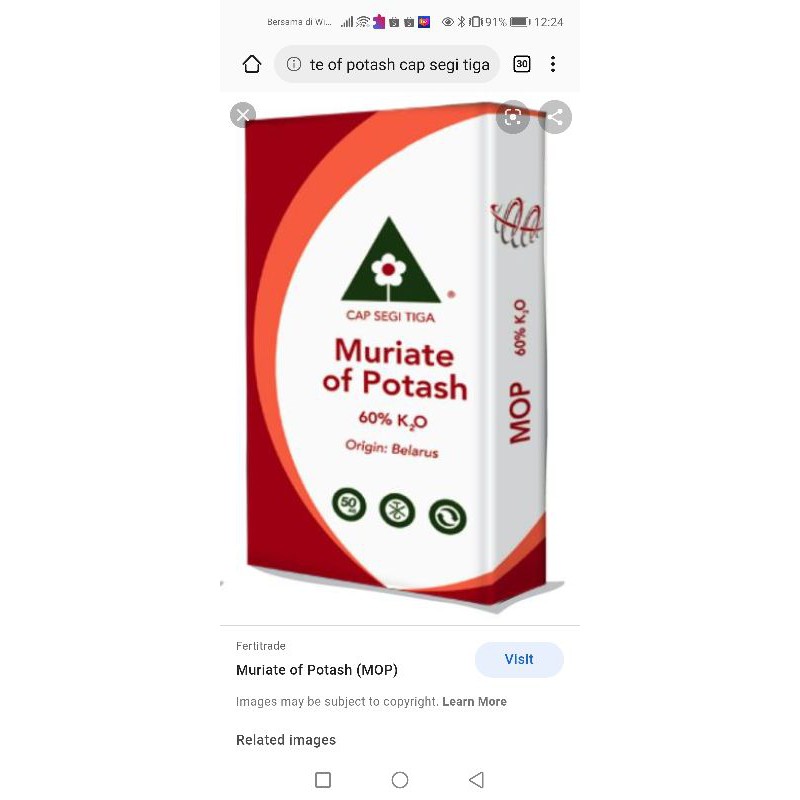 Baja Buah & Bunga Tunggal MOP 60% Baja Garam Baja Paksa Buah baja ...