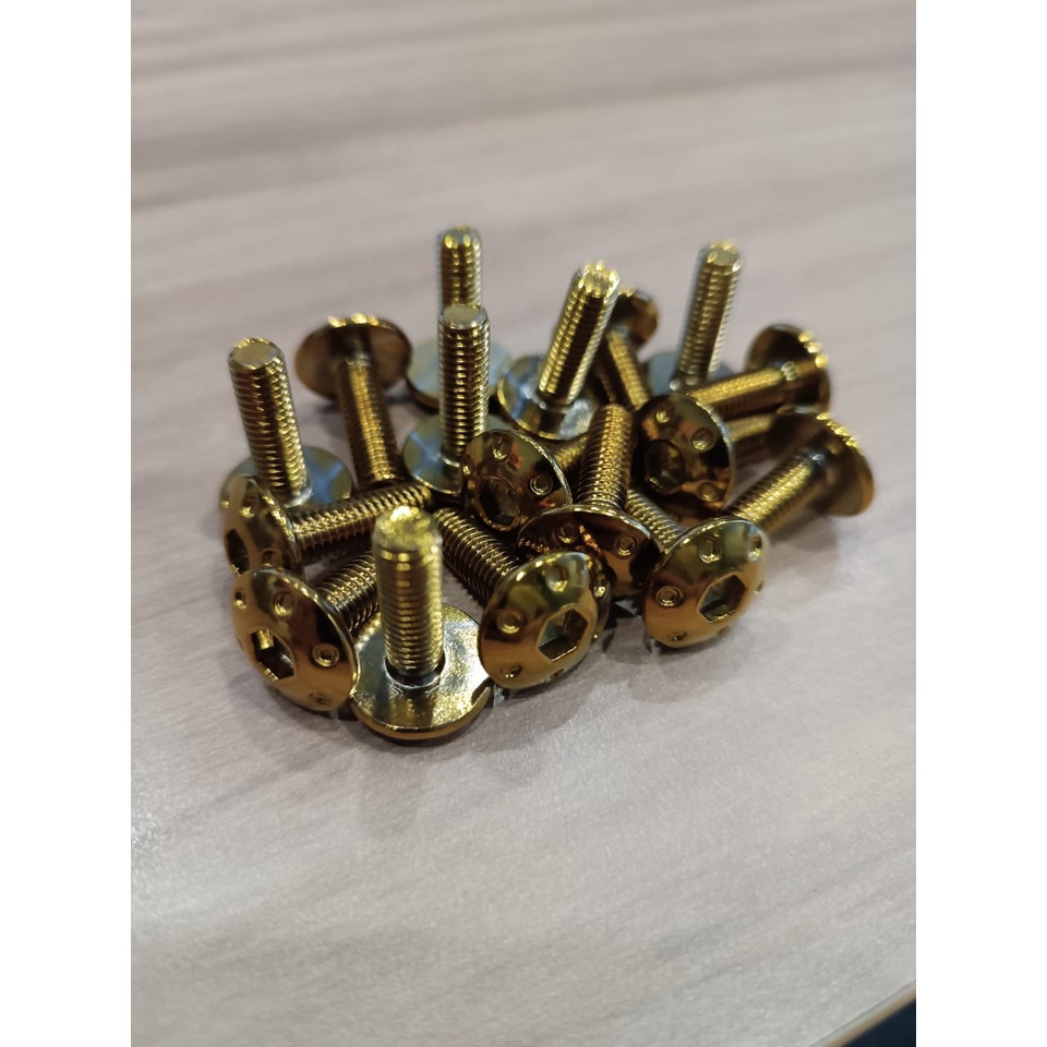 HEAVY DUTY TITANIUM DISC PLATE SCREW UNIVERSAL SKRU M8 20MM M6 20MM ...