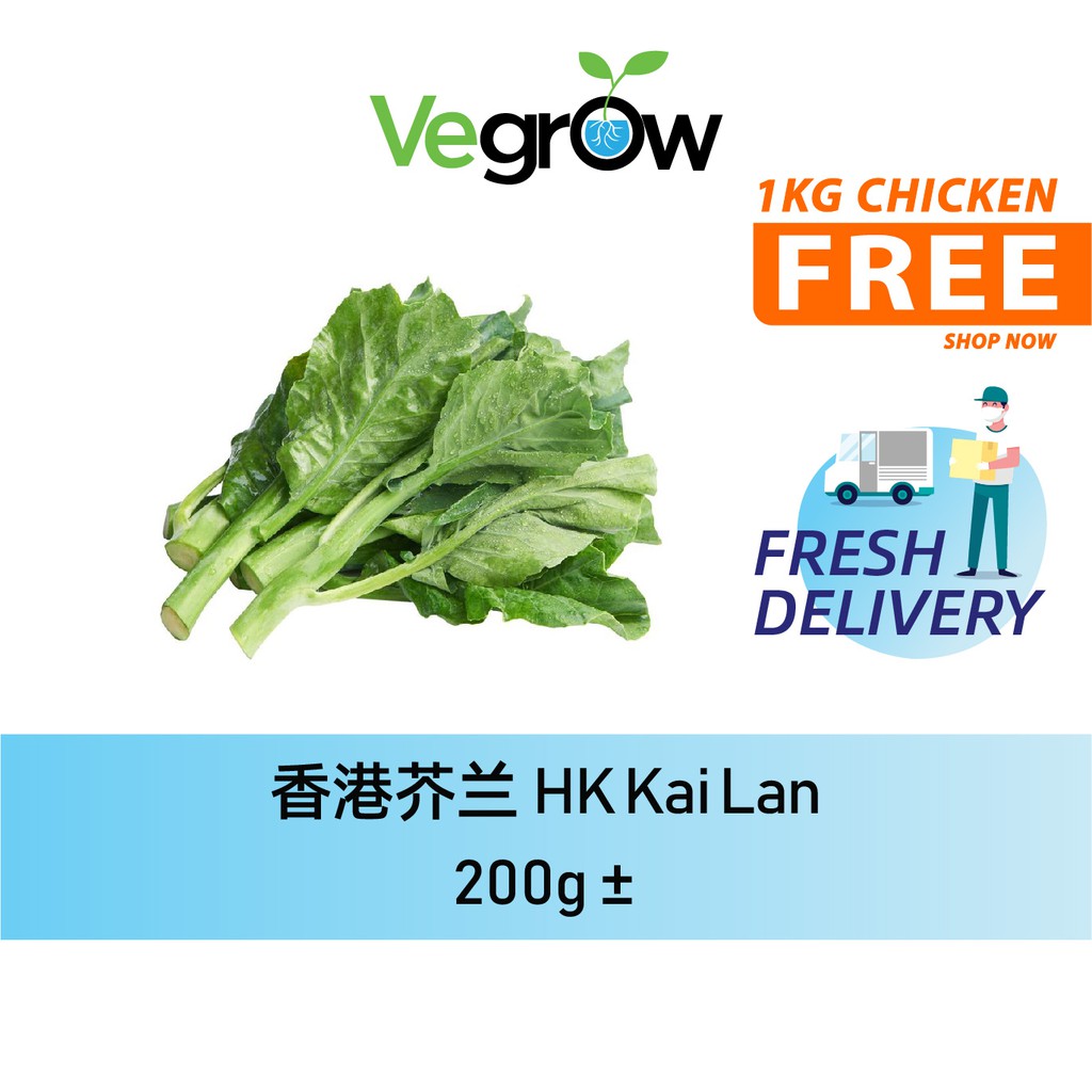 🔥FRESH 🔥香港芥兰 HK Kai Lan 200g +- | Shopee Malaysia