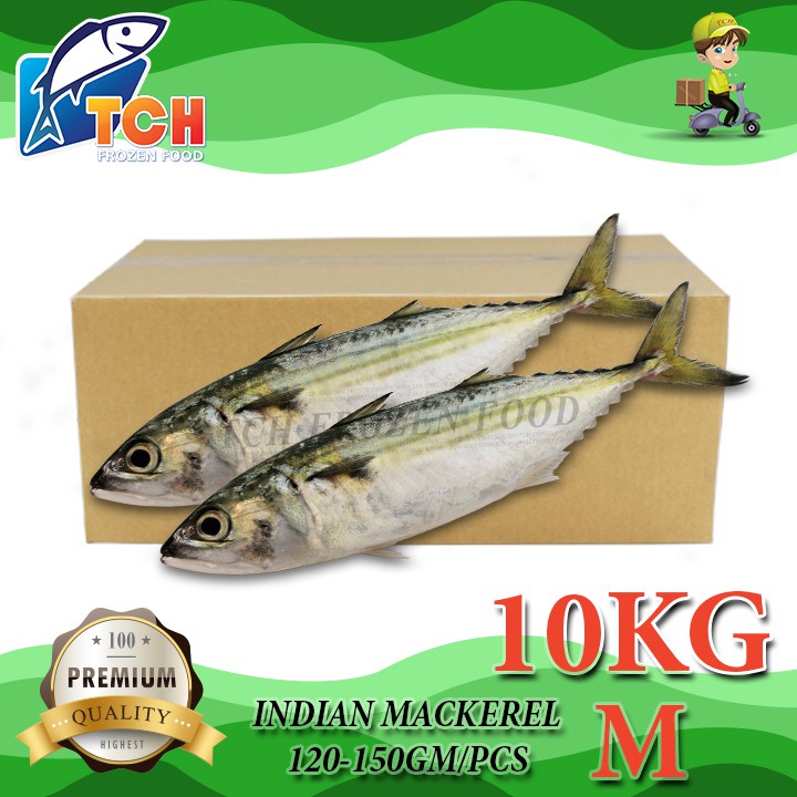 IKAN KEMBONG, TCH FROZEN FOOD, FRESH FROZEN SEAFOOD, WHOLESALE SUPPLIER ...