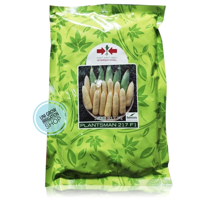 BUY 1 FREE 1 EXP 30/07/21 East West Seed F1 Jagung Manis Sweet Corn Plantsman 217 500gm Per Pack ...