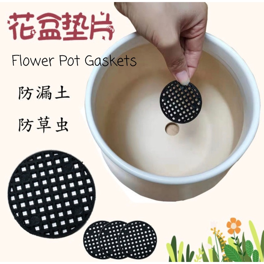 Flower Pot Gaskets /花盆防漏垫/Sucullent/ 多肉/肉肉/cactus/plant/植物/花/tumbuhan ...