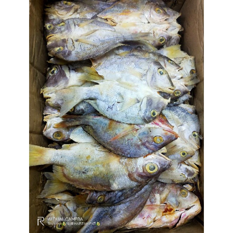 IKAN MASIN KUTAMBAK DARI SABAH | Shopee Malaysia