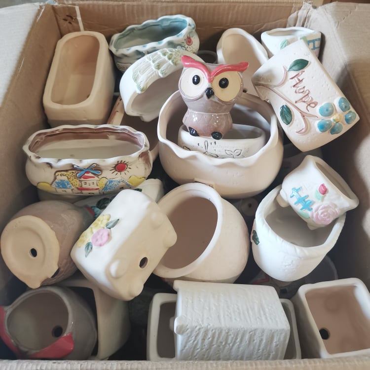 Home & Garden Succulent Pot/ Cactus Pot Set / Pasu Kecil / 可爱家园多肉仙人掌 ...