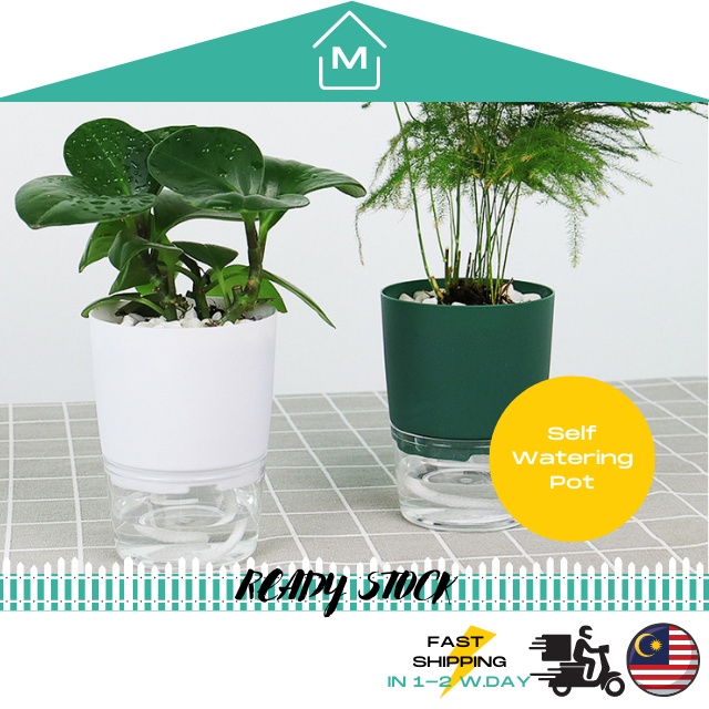 Double Layer Transparent Base Self Watering Pot Deco / Pasu Dua Lapisan ...