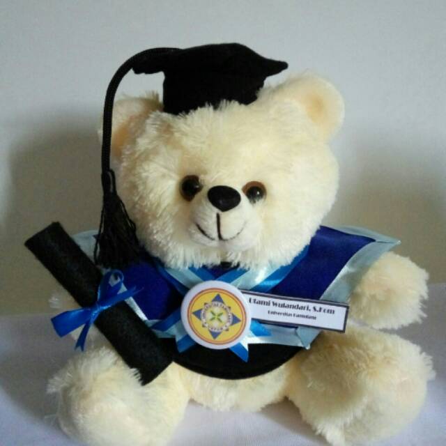 Teddy Bear Graduation Doll Graduation Gift Graduation Gift Thesis trial ...
