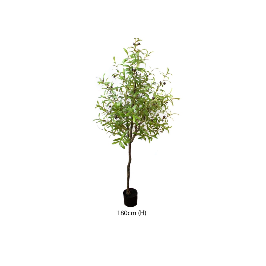 Pokok Viral Zaiton 120/160/180 cm - Olive Tree Artificial Premium Tree ...