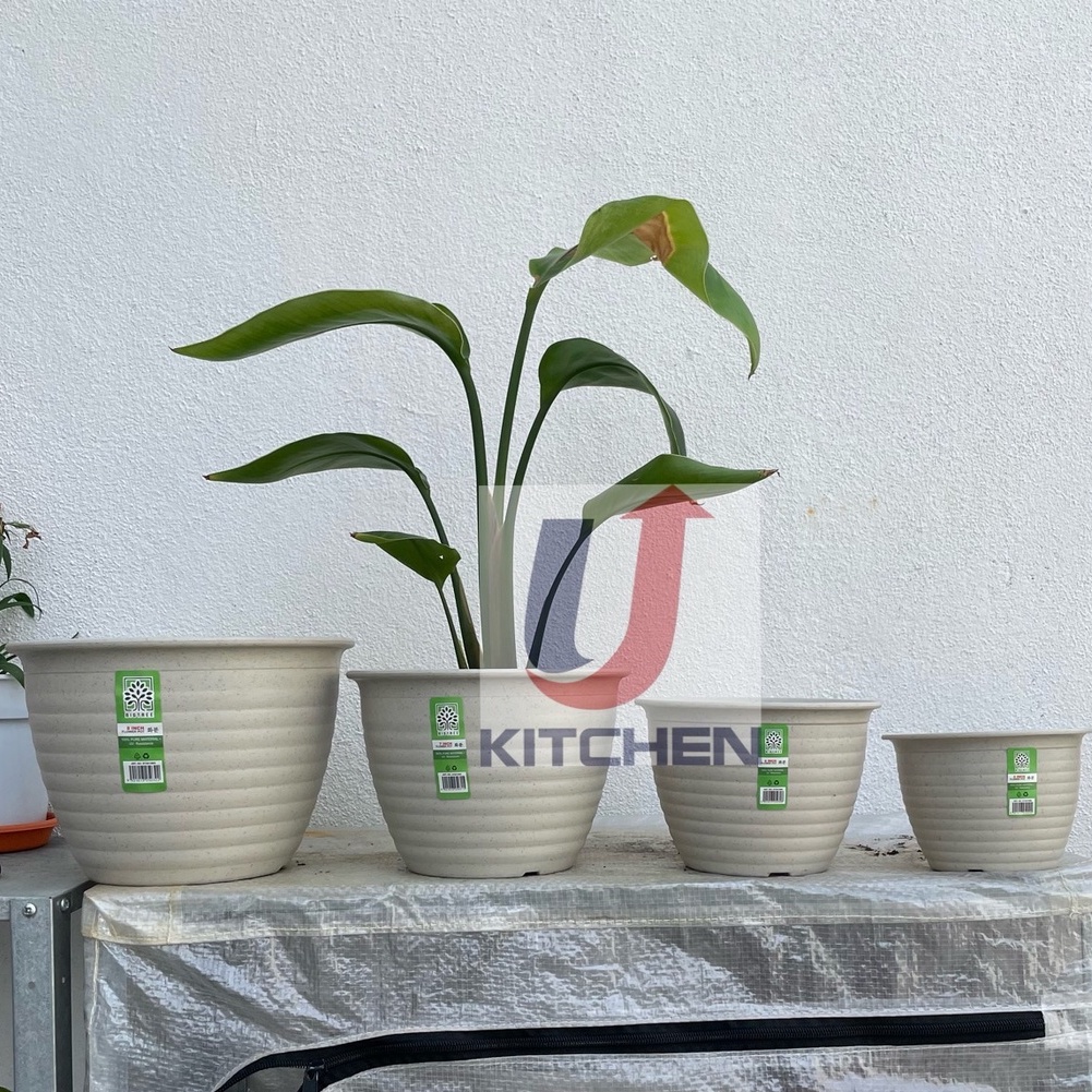 🌳Big Tree🌳 Beige Colour Minimalist Flower Pot Plant Pot / Pasu Plastik ...