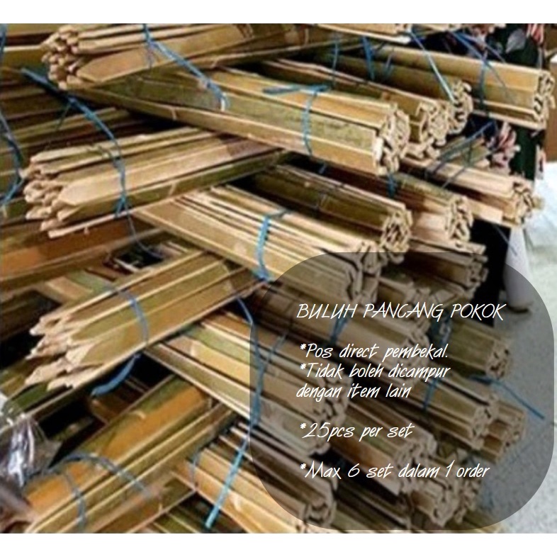 25 BATANG BULUH UNTUK PANCANG POKOK - BAMBOO PLANTS STAKES - PANCANG ...