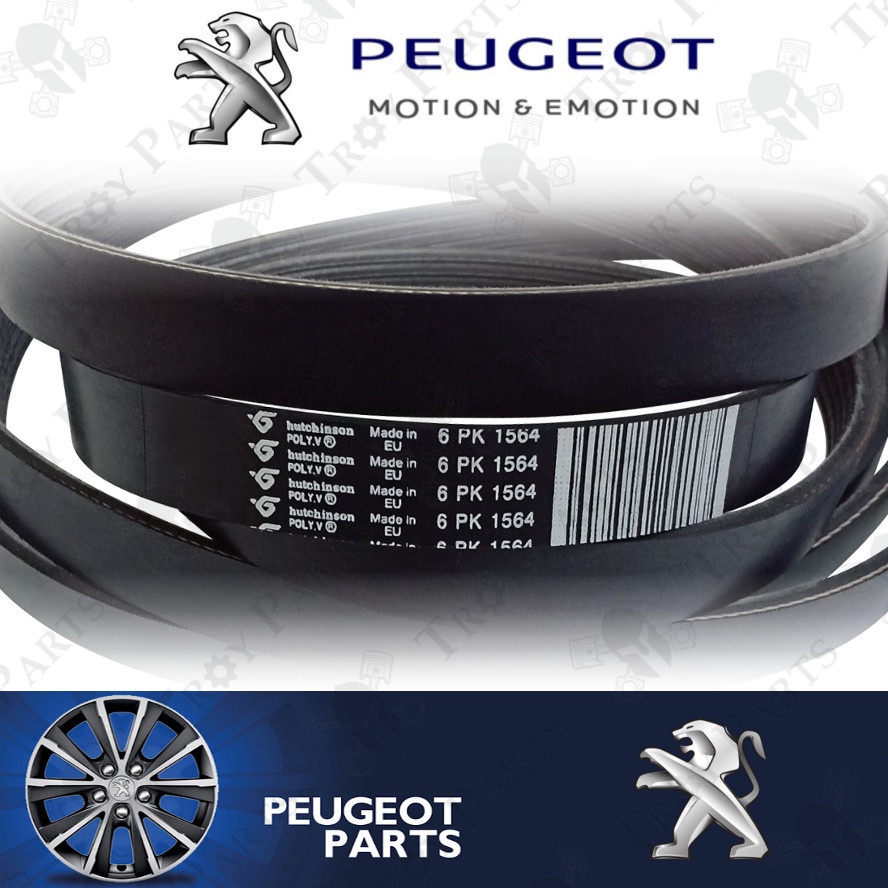Original Citroen Peugeot Fan Belt for Peugeot 206 1.6 2005-2009 - 6PK1564 ( 6PK1560 / 6PK1565 ...