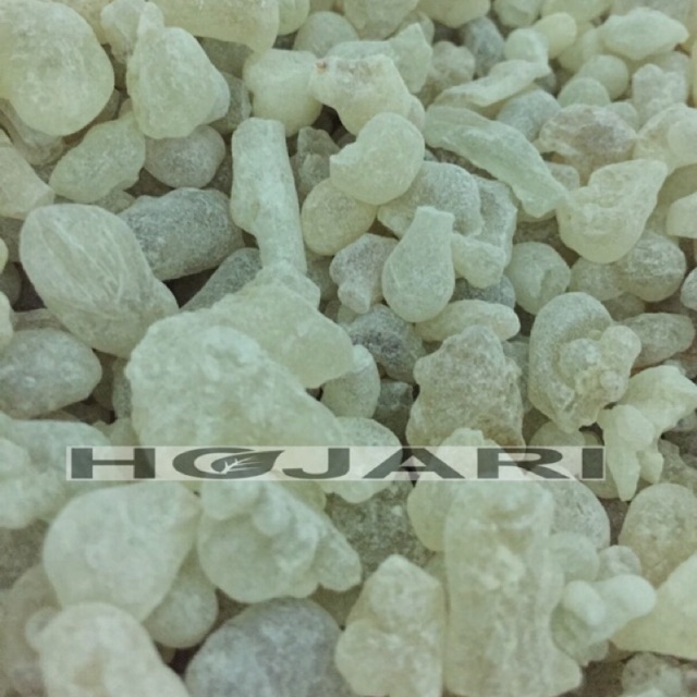 [Medical grade) 50gram Luban Oman Green Hojari Frankincense Green ...