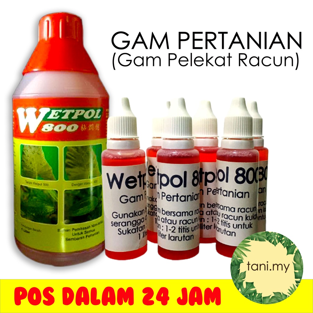 Gam Pertanian Gam Pelekat Racun Wetpol 800 (30ml) | Shopee Malaysia