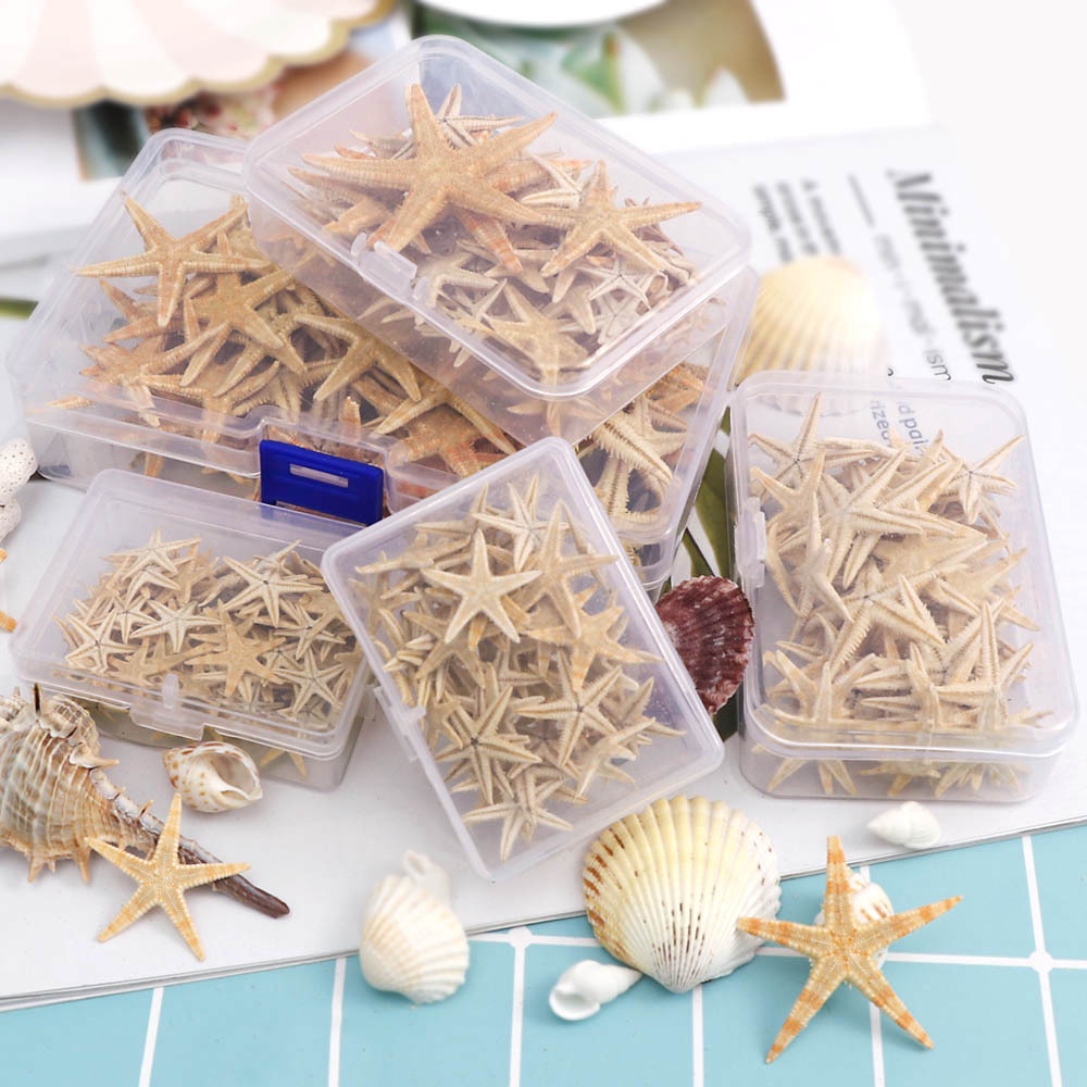 Natural Small Starfish DIY Resin Fillings Mixed Beach Seashell Resin Filler DIY Beach Decor ...