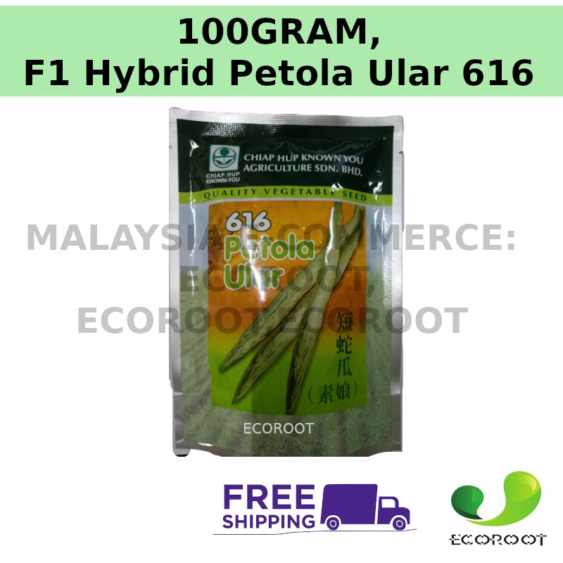 BIJI BENIH 100GRAM F1 HYBRID GREEN DRAGON 181 PETOLA LABU ULAR SNAKE ...