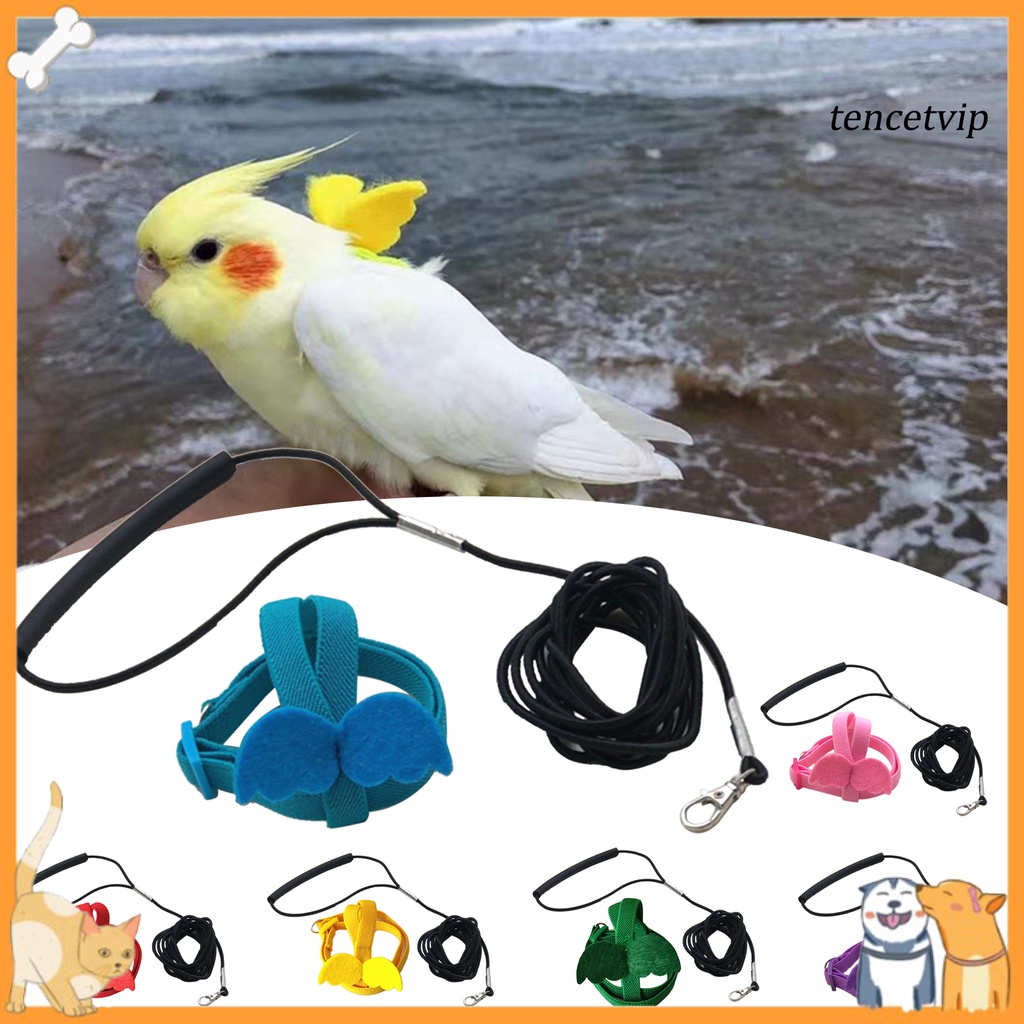 [Vip]Long Cable Bird Harness Decorative Lightweight Parakeet Parrot ...