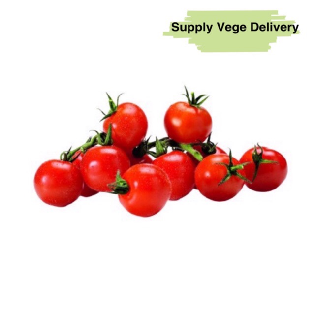 Cameron Cherry Tomato / 金马伦樱桃番茄 | Shopee Malaysia