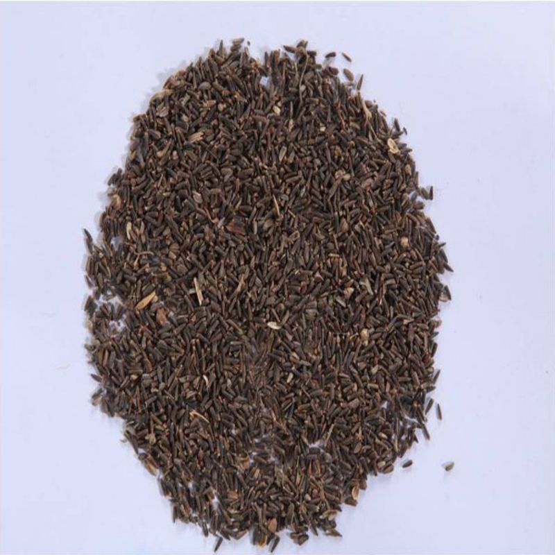 Kattu Seeragam , Canary Seed 100g (India) | Shopee Malaysia