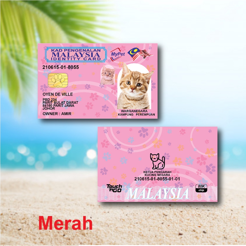 Premium IC Kucing, Identity Card Kucing, Kad Pengenalan Kucing Paling ...
