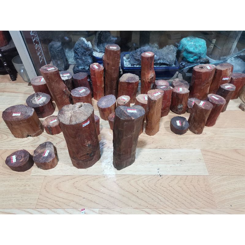 Teras Raja Kayu Merah Asli Gred AAA pokok tua dan matang (A) | Shopee ...