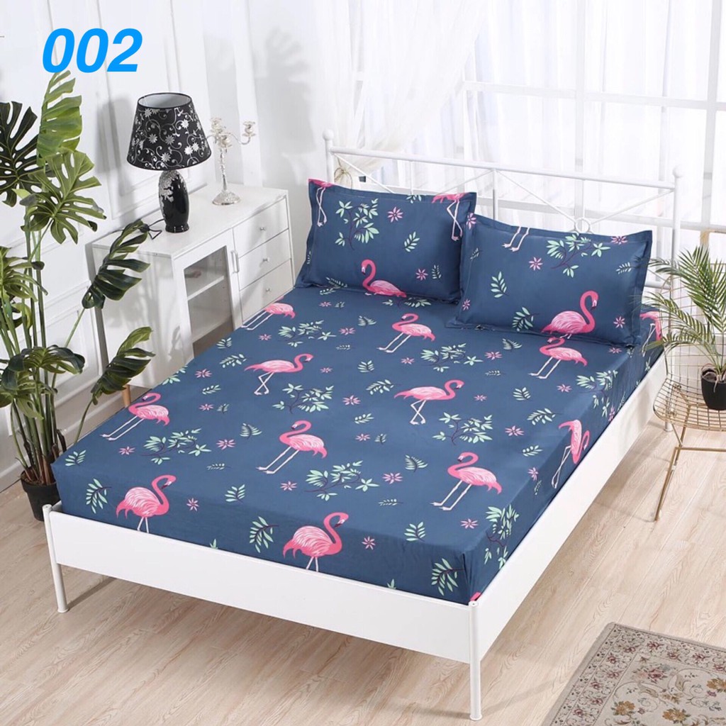 🔥HOT PROMO🔥Quality Cadar Bedsheet Queen King Single Fitted Bedsheet ...