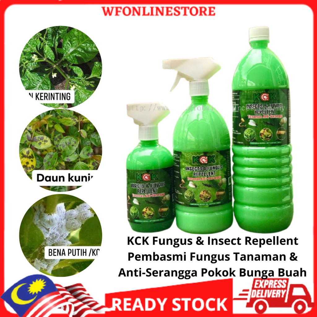 KCK Fungus Repellent Pembasmi Fungus Tanaman & Anti-Serangga Perosak ...
