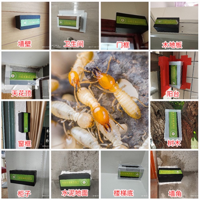 Kotak Umpan Anai-anai Kayu Indoor Termite Bait Box Wood Trap Termite ...