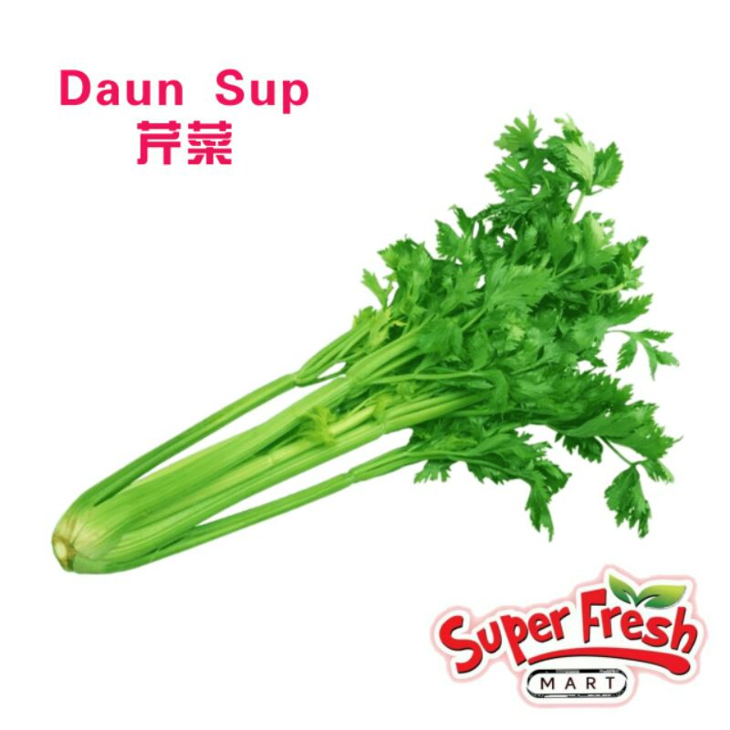 Daun Sup 芹菜 (100g+/-) | Shopee Malaysia