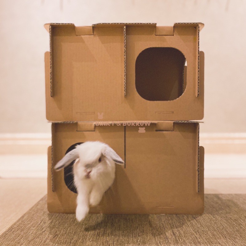 Rabbit Maze/Rabbit Maze Rabbit/Rabbit Labyrinth Binky and Burrow ...