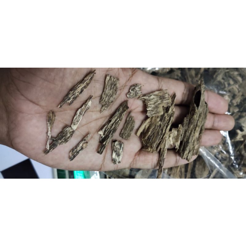 Kayu gaharu chip microcarpa | Shopee Malaysia