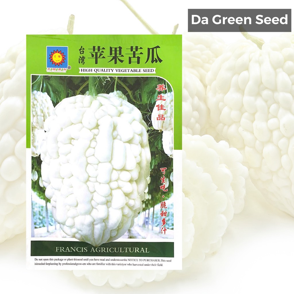 [Ready Stock]Apple Bitter Gourd seeds Biji Benih Taiwan Peria Epal ...