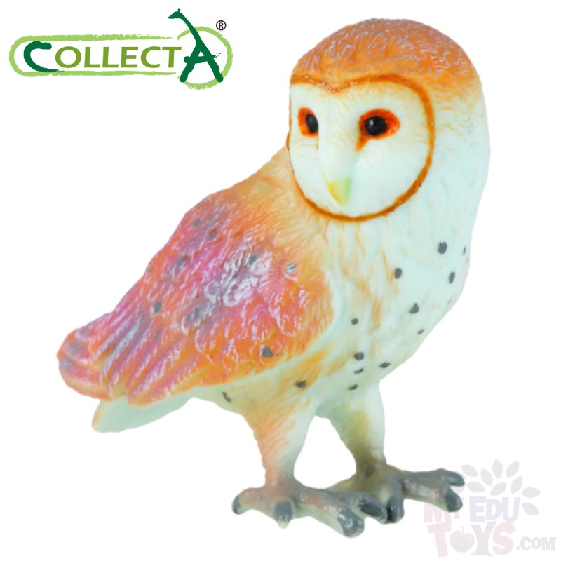 Barn Owl - Collecta 88003 Wild Life Animal Action Figure / Toy Figurine ...