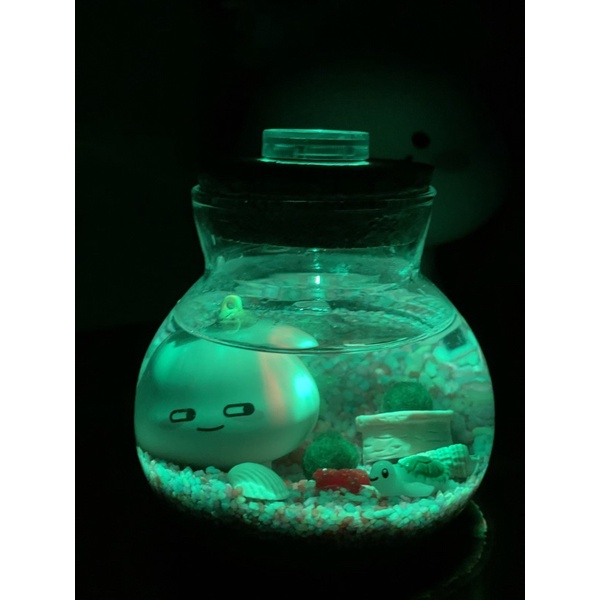 Quby Waterworld DIY Marimo Set Gift for friends couple 乖巧宝宝下海记 | Shopee Malaysia