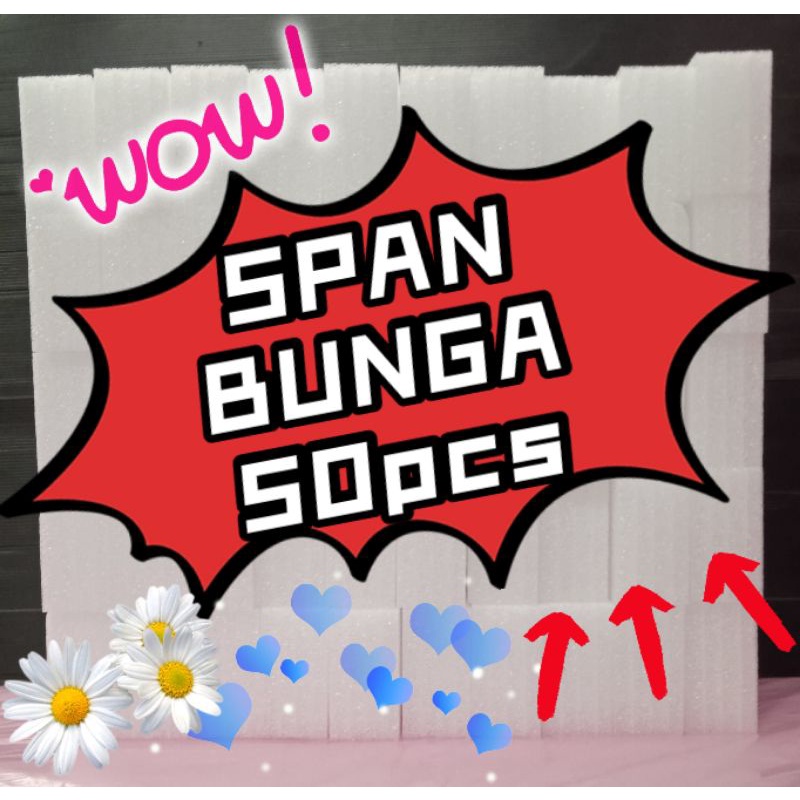 [50pcs] Span Bunga Tak Berhabuk/ Span Kering/ Flower Foam/ Floral Foam ...