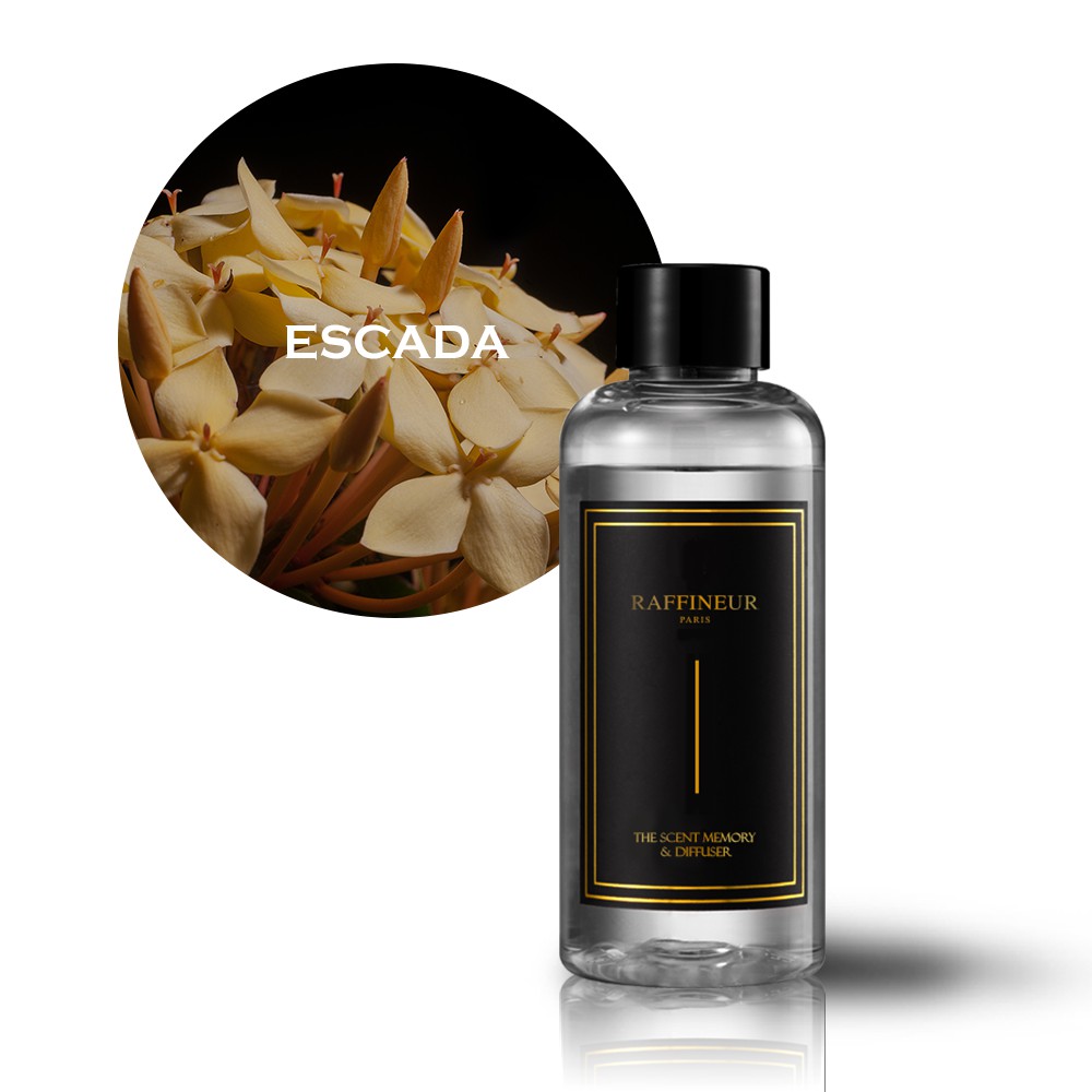 Raffineur Korean Refill Diffuser / Car Air Freshener / ESCADA diffuser ...
