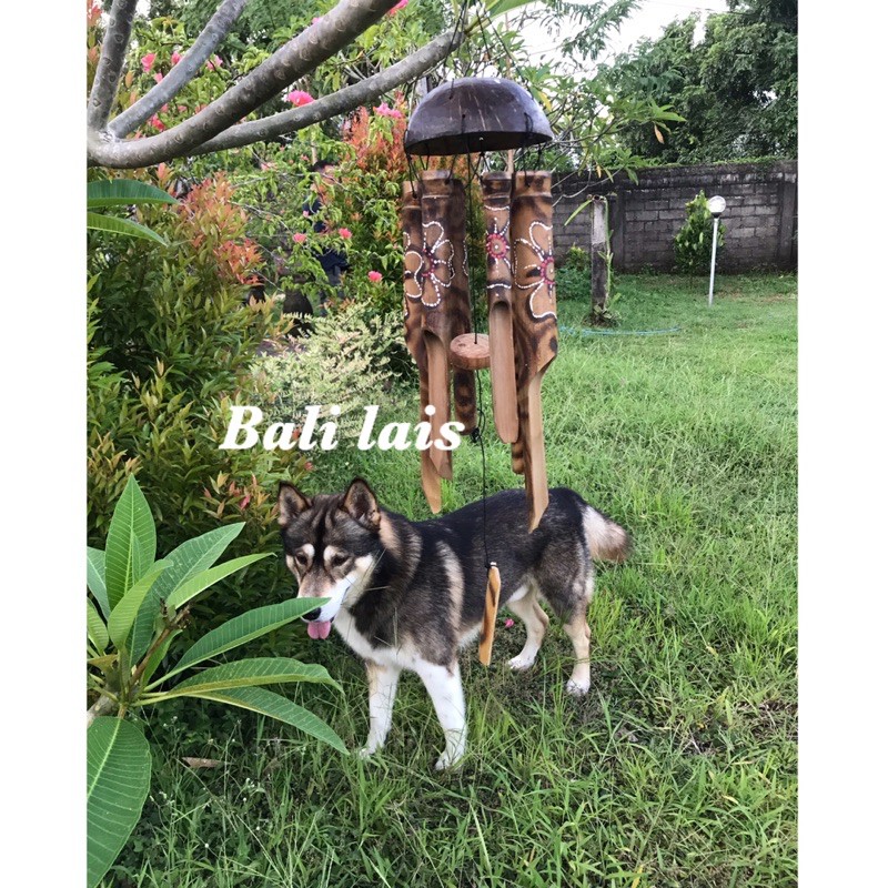 Burnt motif bamboo coconut shell wind chimes | Shopee Malaysia