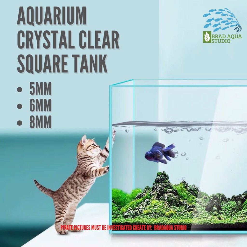 AQUARIUM Fish Tank Crystal Clear Tank Square Tank 5mm/ 6mm/ 8mm ...