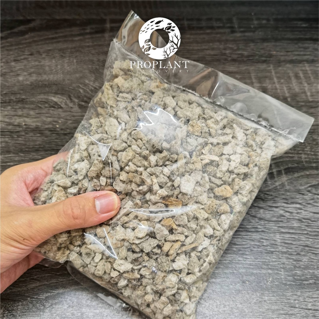 🔥Bio Filtermedia Purest Lava Rock🔥 Power Sand / Low Tech Plant ...