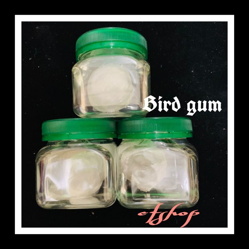 🇲🇾 Ready Stok 🔥Getah Burung/Bird Gum | Shopee Malaysia
