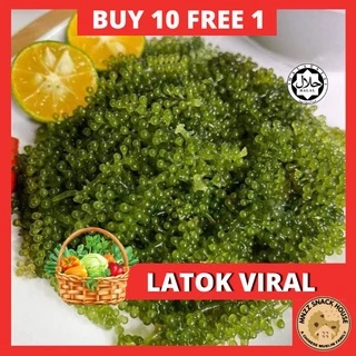 Buy latok Online With Best Price, Jun 2024 | Shopee Malaysia