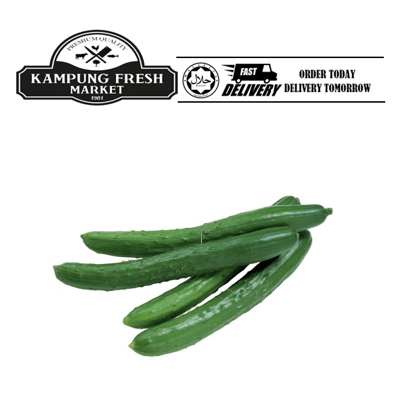 Timun Jepun Segar 500g | Shopee Malaysia