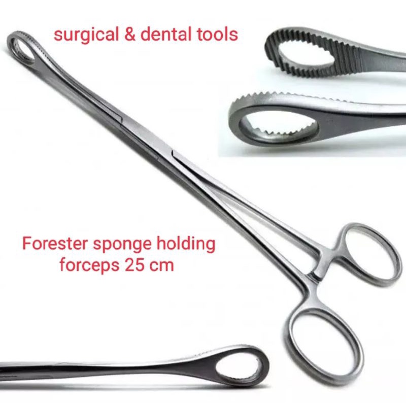 Foerster sponge holding forceps 25 cm stainless steel | Shopee Malaysia