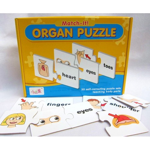 30 pairs My Body Matching Puzzles / Organ / Biology (Ready Stock ...