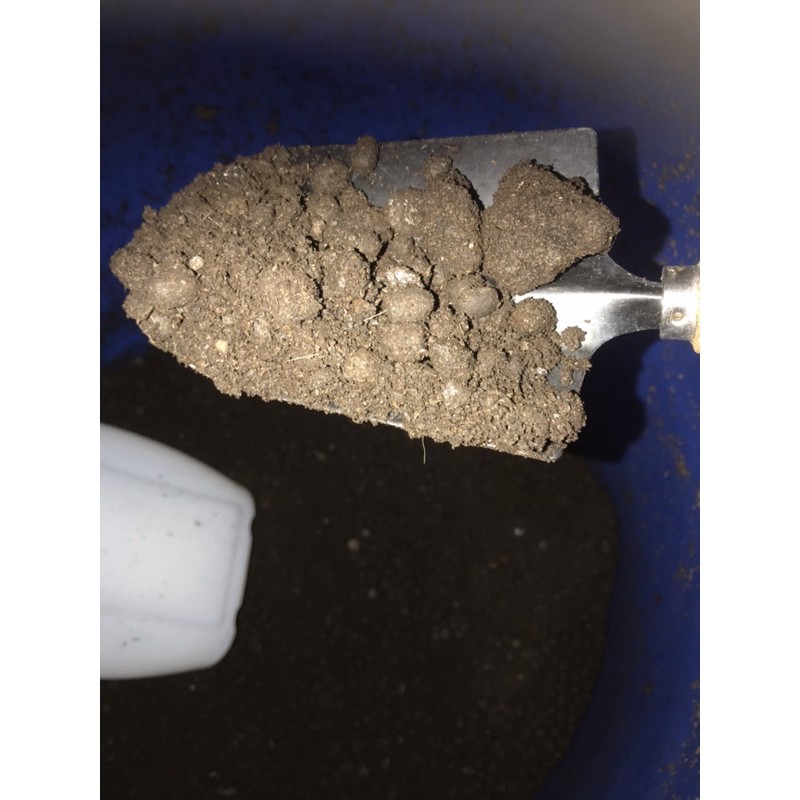 baja kambing original dah perab tak bau harga 20 liter | Shopee Malaysia