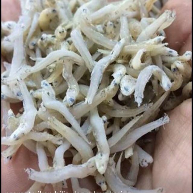 FRESH IKAN BILIS MATA BIRU SABAH GRED A- 500G | Shopee Malaysia