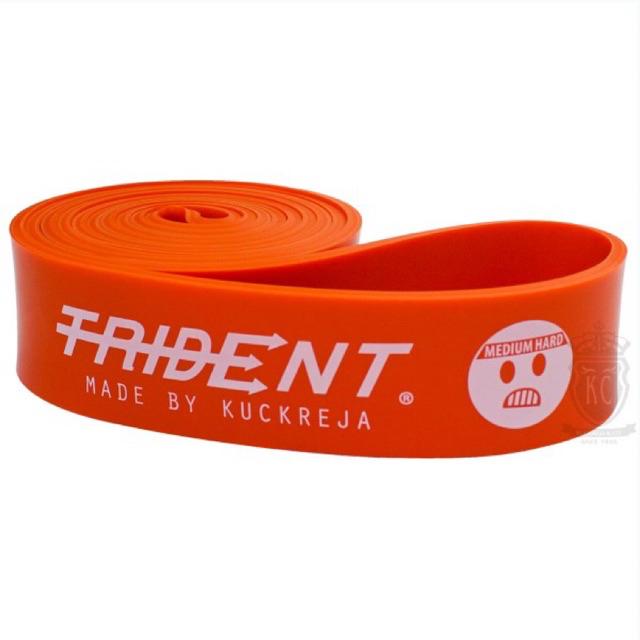 Trident Latex Exercise Resistance Band Getah Rintangan Workout Rehab ...