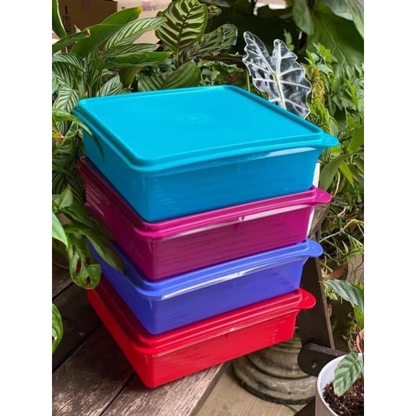 TUPPERWARE B2B SNACK STOR 2.9Liter | Shopee Malaysia