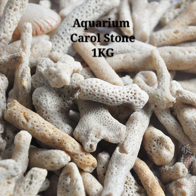 Aquarium Carol Stone Filter Media 1KG | Shopee Malaysia