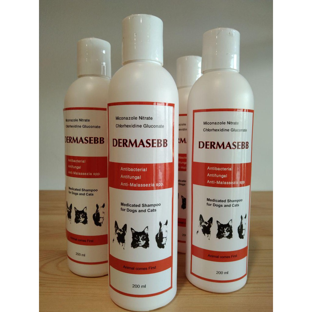 DERMASEBB SHAMPOO (FUNGAL) 200ML / SHAMPOO BADAN KUCING UNTUK FUNGAL ...