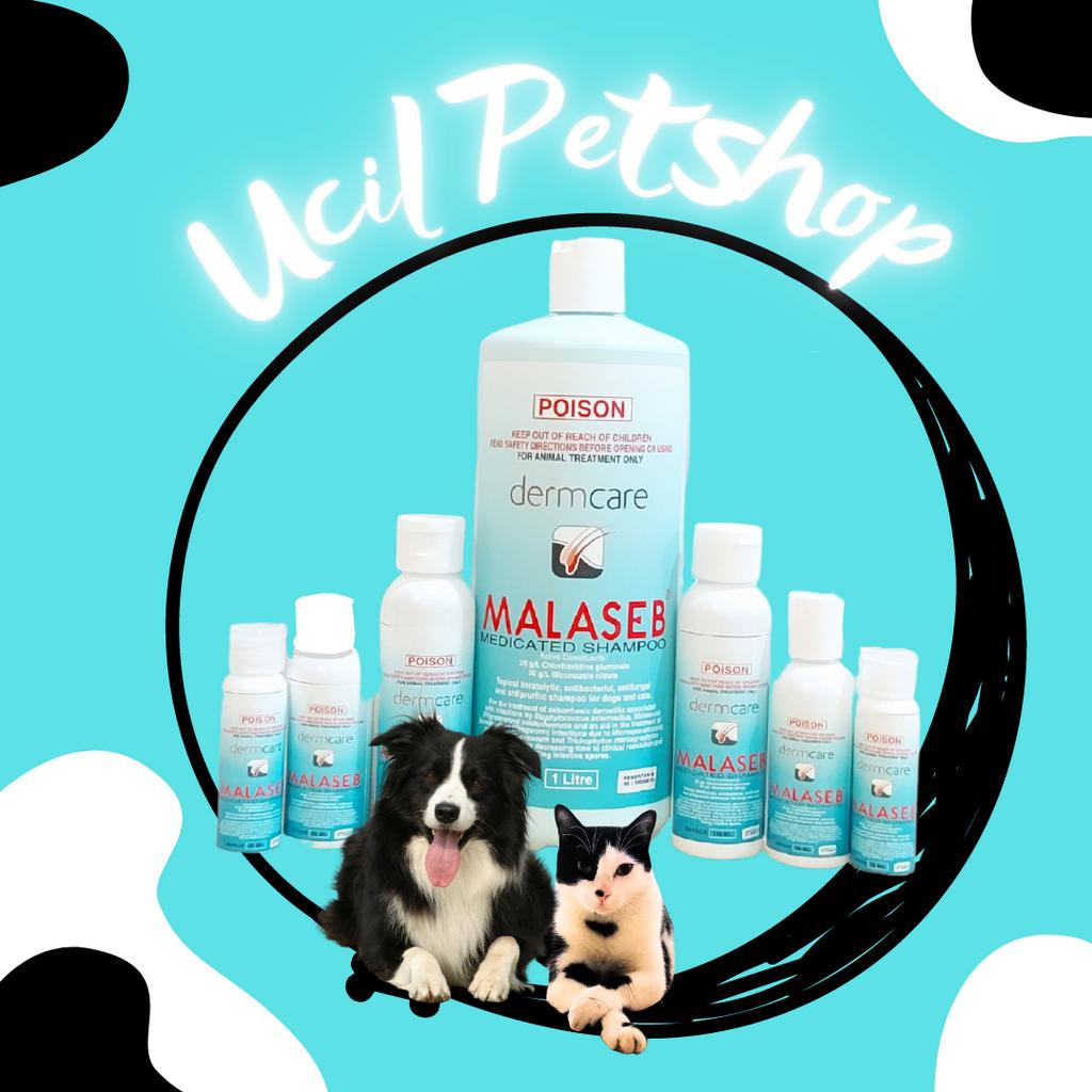 Malaseb Dermcare Medicated Shampoo Anti Fungus (Sebazole) Cat Dog ...