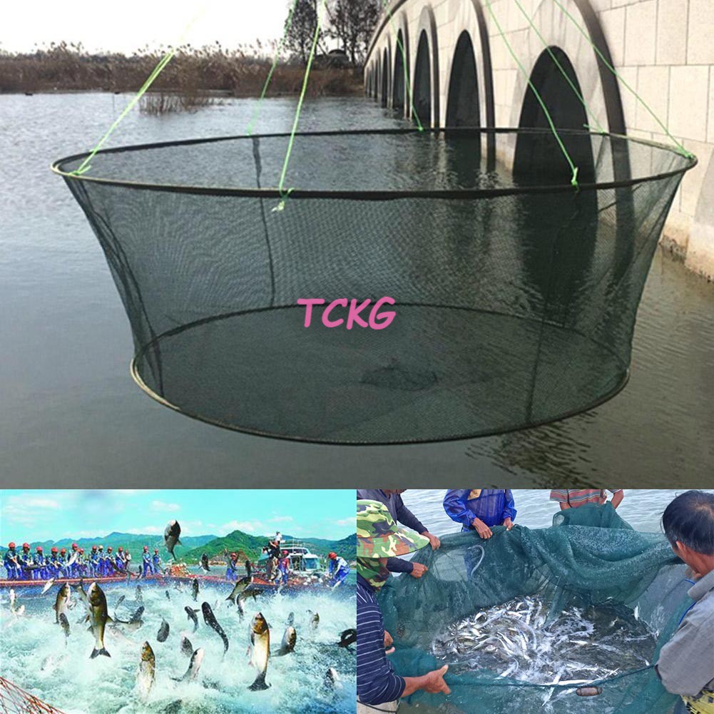 Tckg Foldable Drop Net Fishing Landing Prawn Bait Crab Shrimp Pier ...